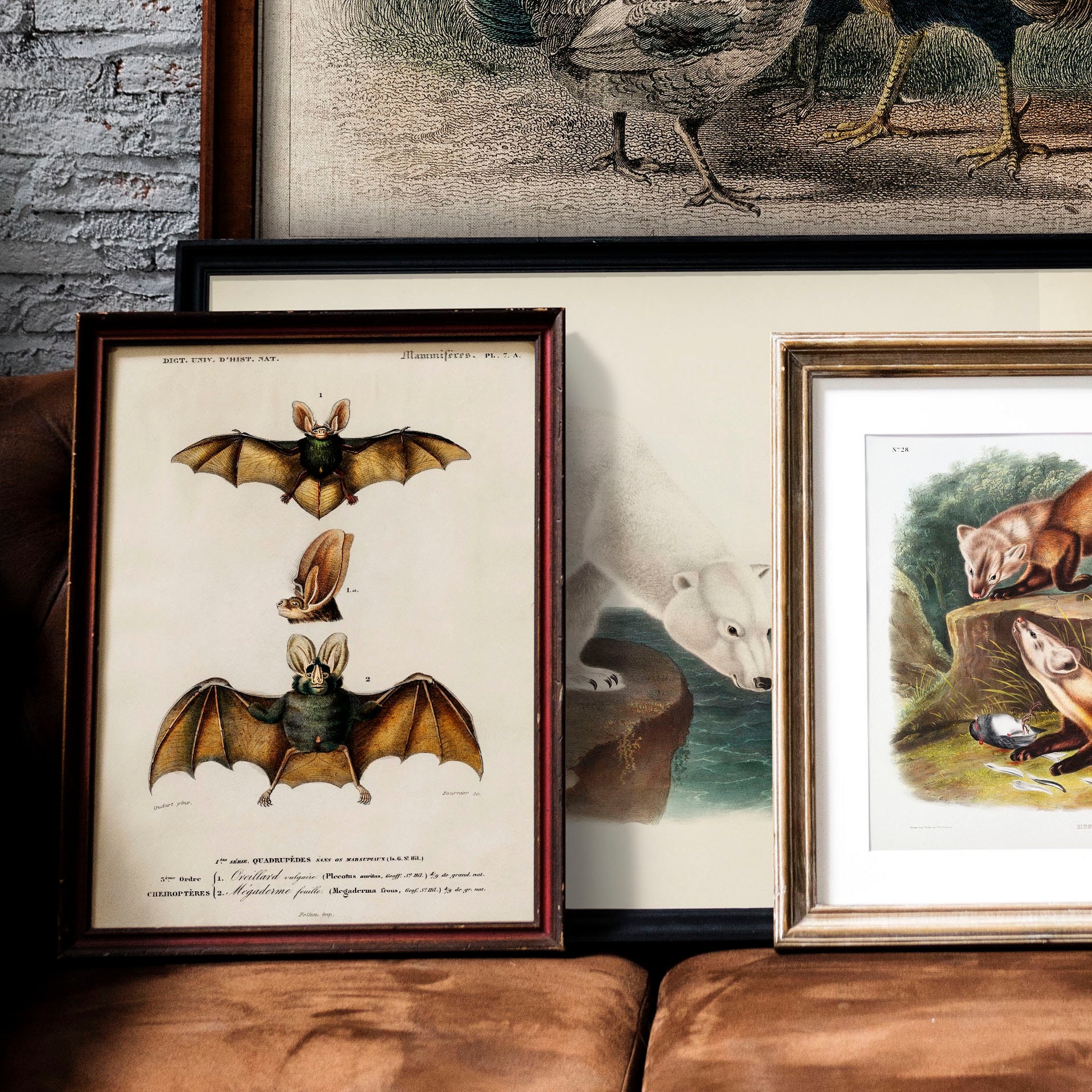Bat Print Antique Animal Painting Vintage Drawing Poster - Etsy