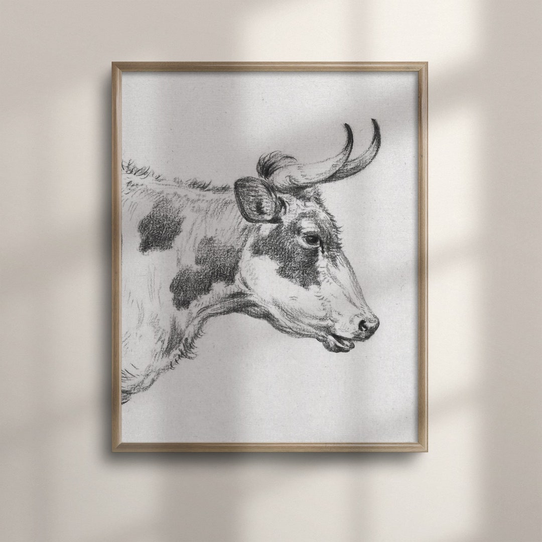 Vintage Cow Etching: Rustic Farmhouse Kitchen Art - Etsy