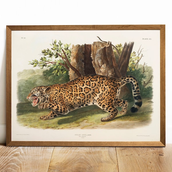 Jaguar Wall Art - Etsy