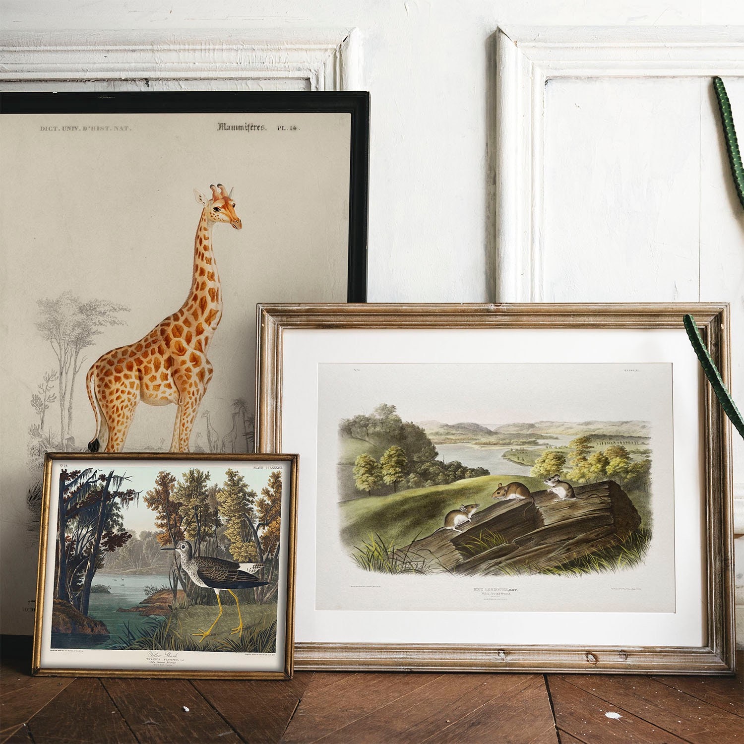 Mouse Print Antique Animal Painting Vintage Drawing Poster - Etsy