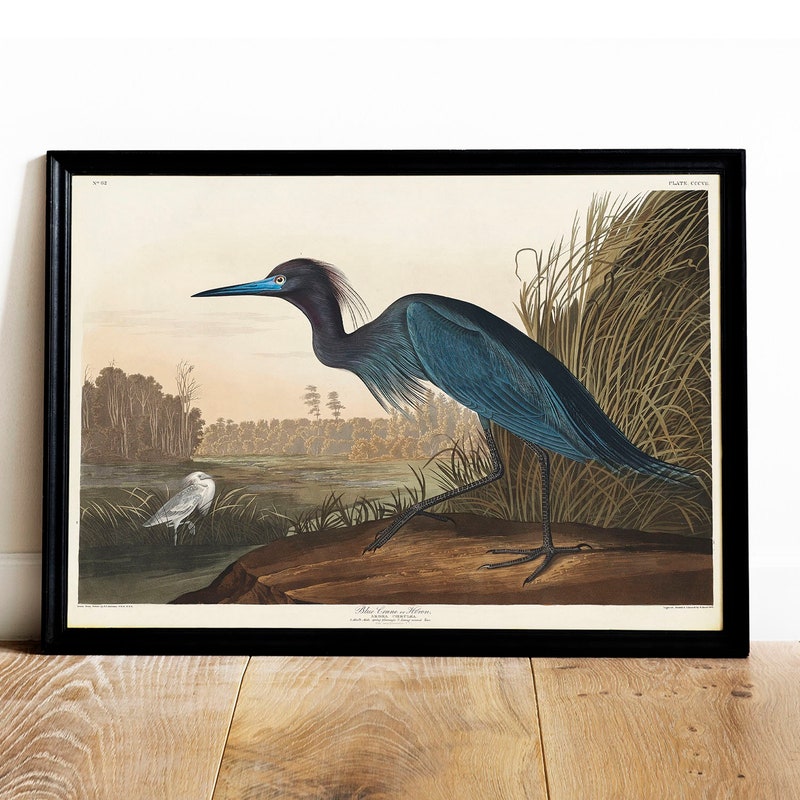 Blue Crane - Etsy