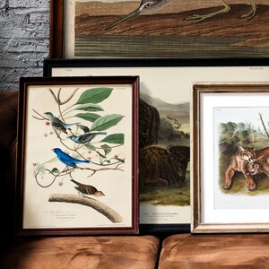 Indigo Bird Print, Antique Bird Painting, Vintage Drawing Poster Wall ...