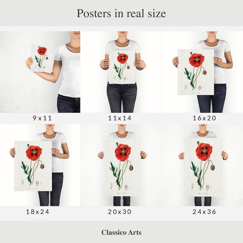 Poppy Print Vintage Botanical Poster Wall Art Decor Poppy - Etsy