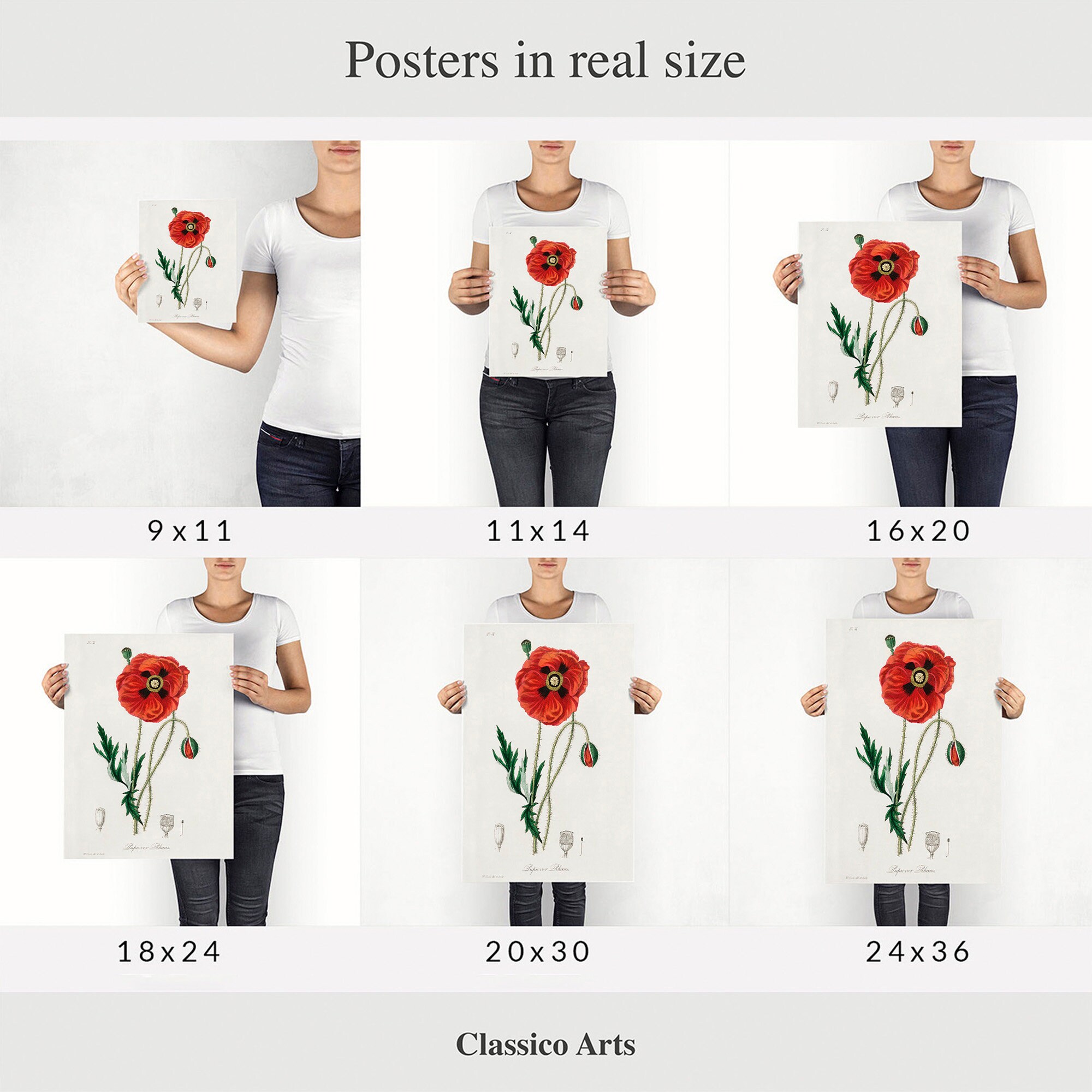 Poppy Print Vintage Botanical Poster Wall Art Decor Poppy | Etsy