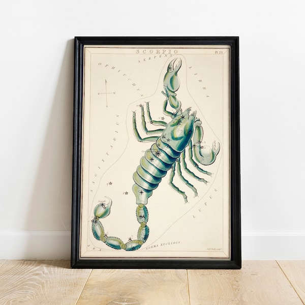 Scorpio Print - Etsy