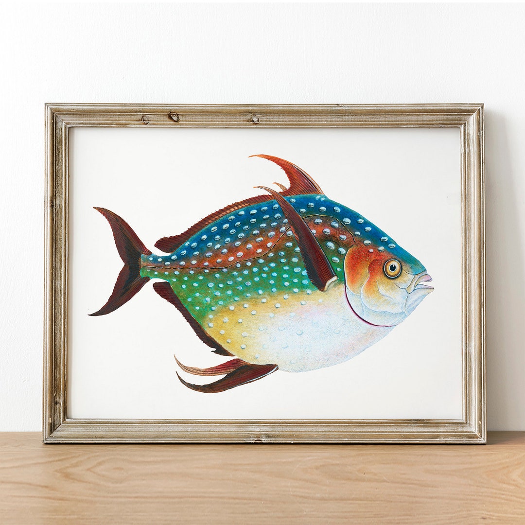 Opah Fish Print, Vintage Fishing Poster Wall Art Decor, Gift for Dad ...