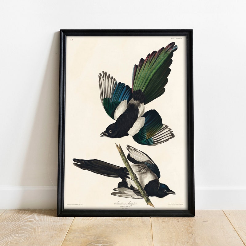 Magpie Art - Etsy