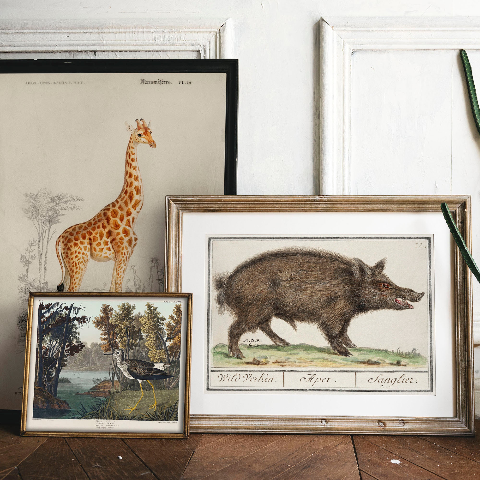 Wild Boar Print Antique Space Painting Vintage Drawing - Etsy