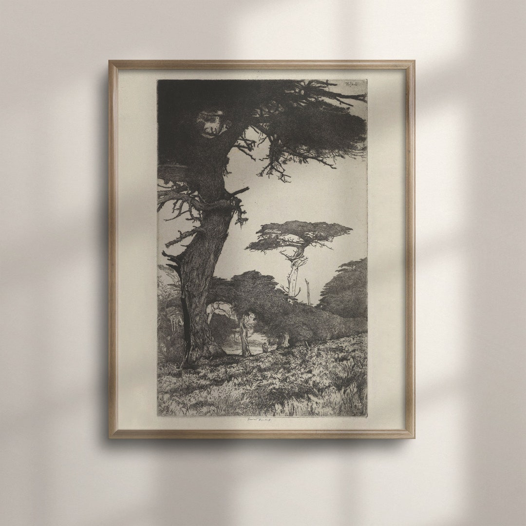 Antique Botanical Cypress Tree Print, Vintage Nature Art for Farmhouse ...