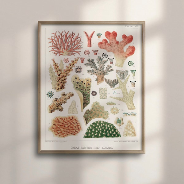 Ocean Life Print - Etsy