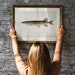 Pickerel Fish Print, Vintage Fishing Poster Wall Art Decor, Grass ...