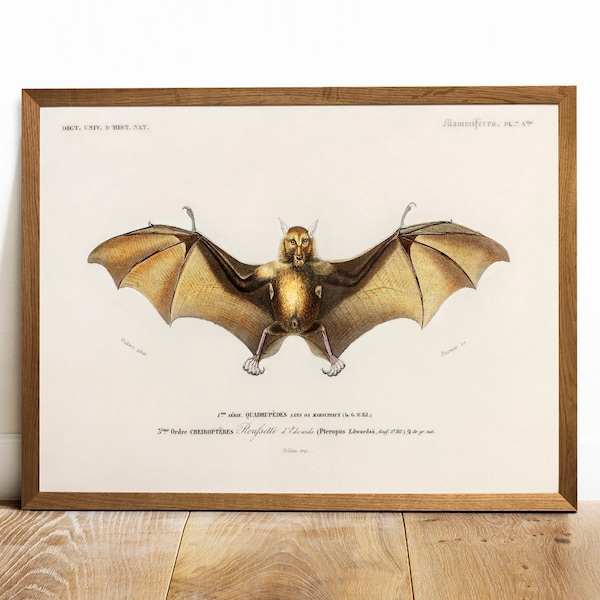 Bat Poster - Etsy