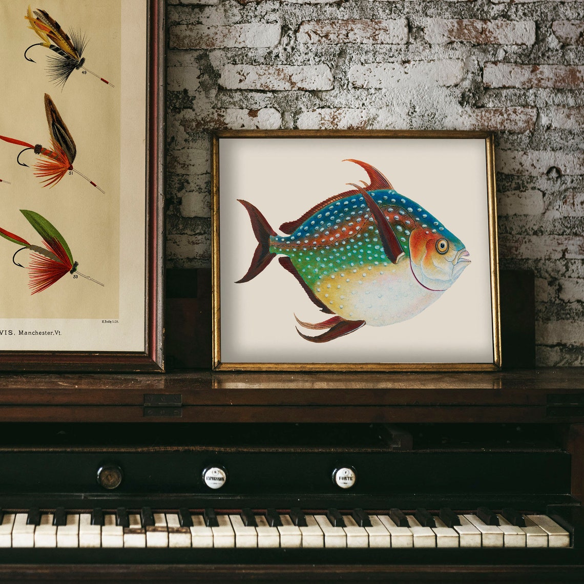 Opah Fish Print Vintage Fishing Poster Wall Art Decor Gift - Etsy