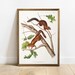 Skunk Print, Antique Animal Painting, Vintage Drawing Poster Wall Art ...