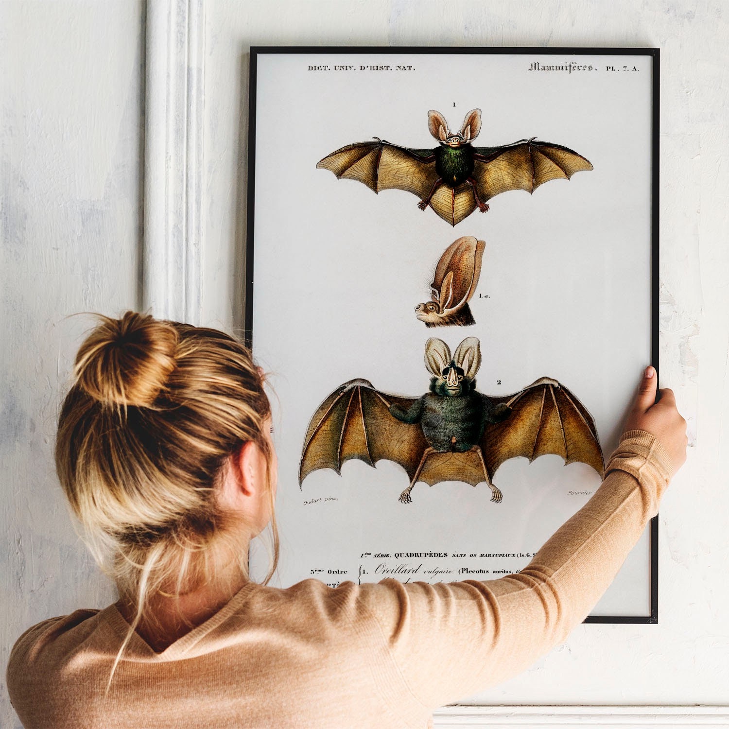 Bat Print Antique Animal Painting Vintage Drawing Poster - Etsy