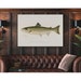 Atlantic Salmon Canvas Fish Print Vintage Fishing Poster Wall - Etsy