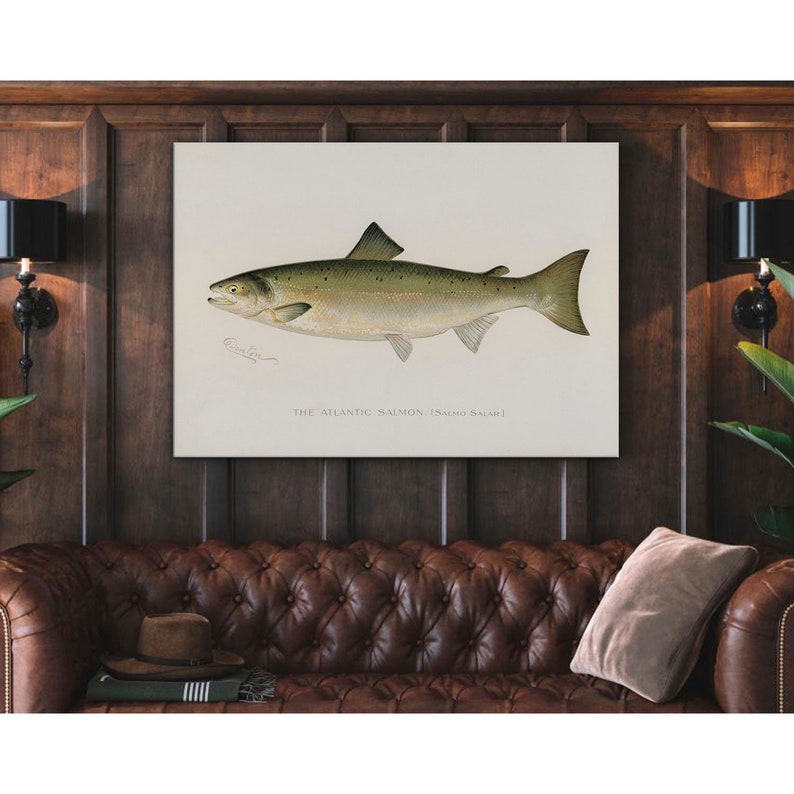 Atlantic Salmon Canvas Fish Print Vintage Fishing Poster Wall - Etsy