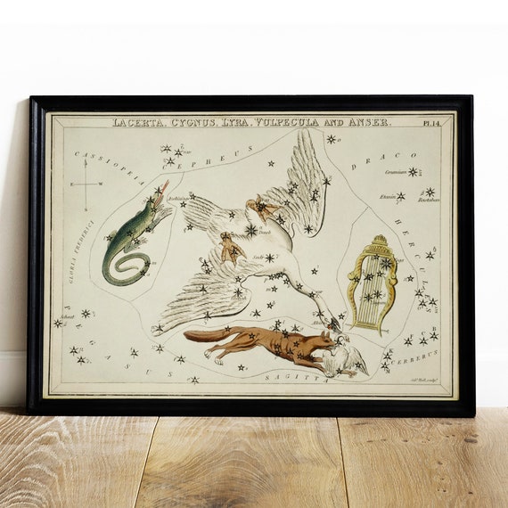 Lacerta Print Antique Space Painting Vintage Drawing Poster | Etsy