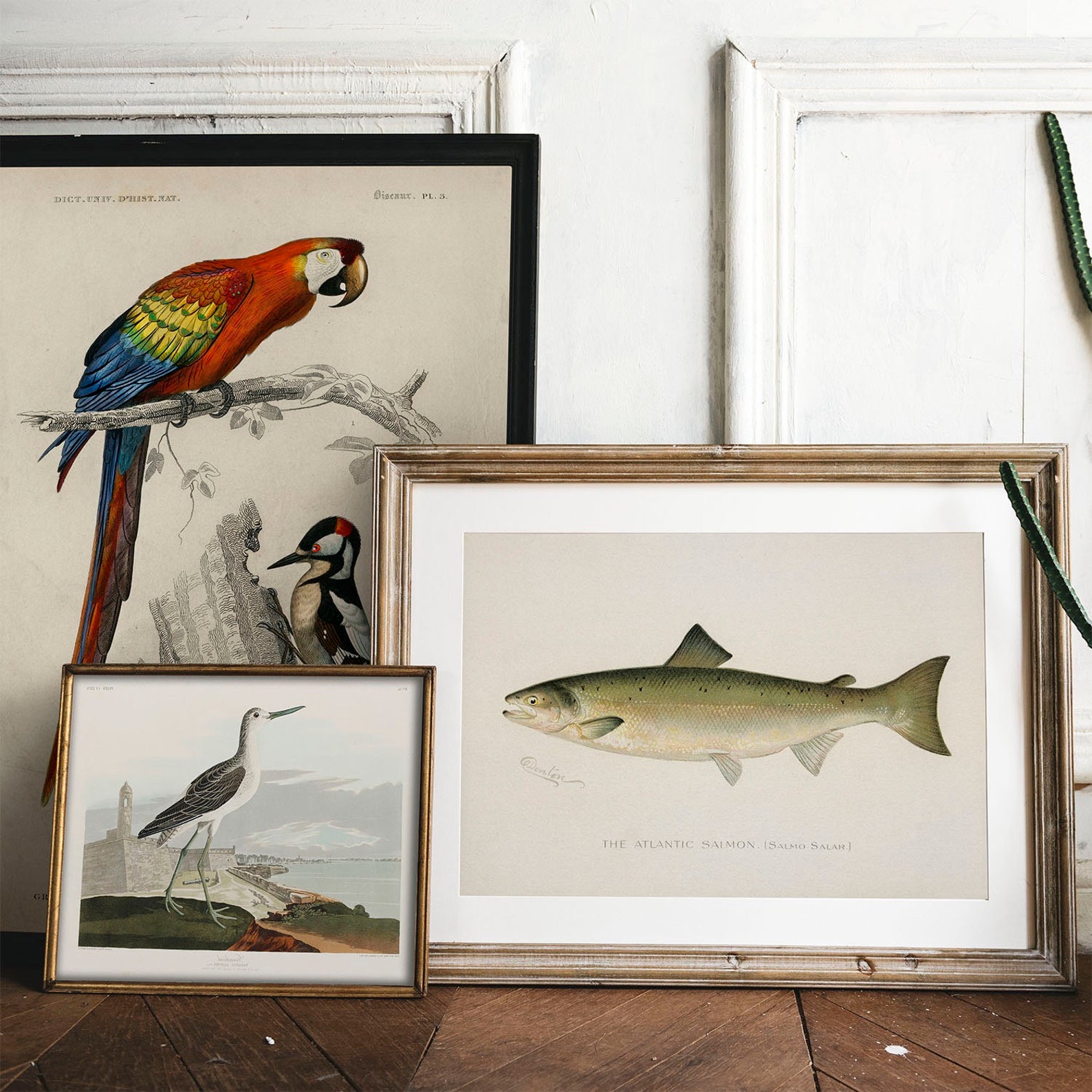 Atlantic Salmon Fish Print Vintage Fishing Poster Wall Art | Etsy