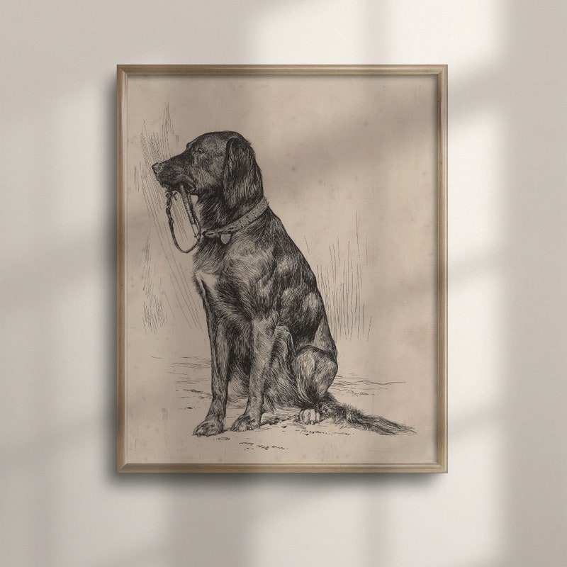Black Labrador - Etsy