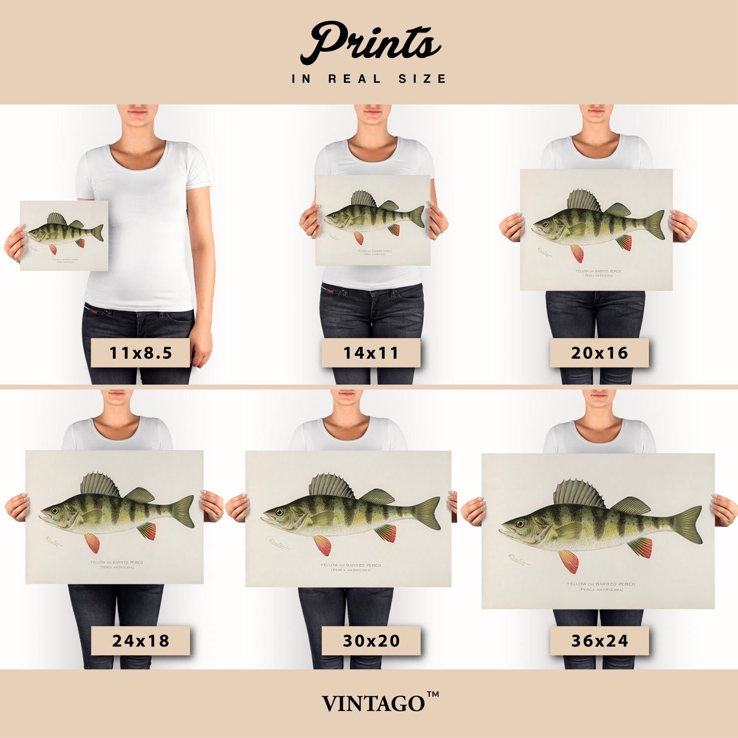 Yellow Fish Print Vintage Fishing Poster Wall Art Decor - Etsy