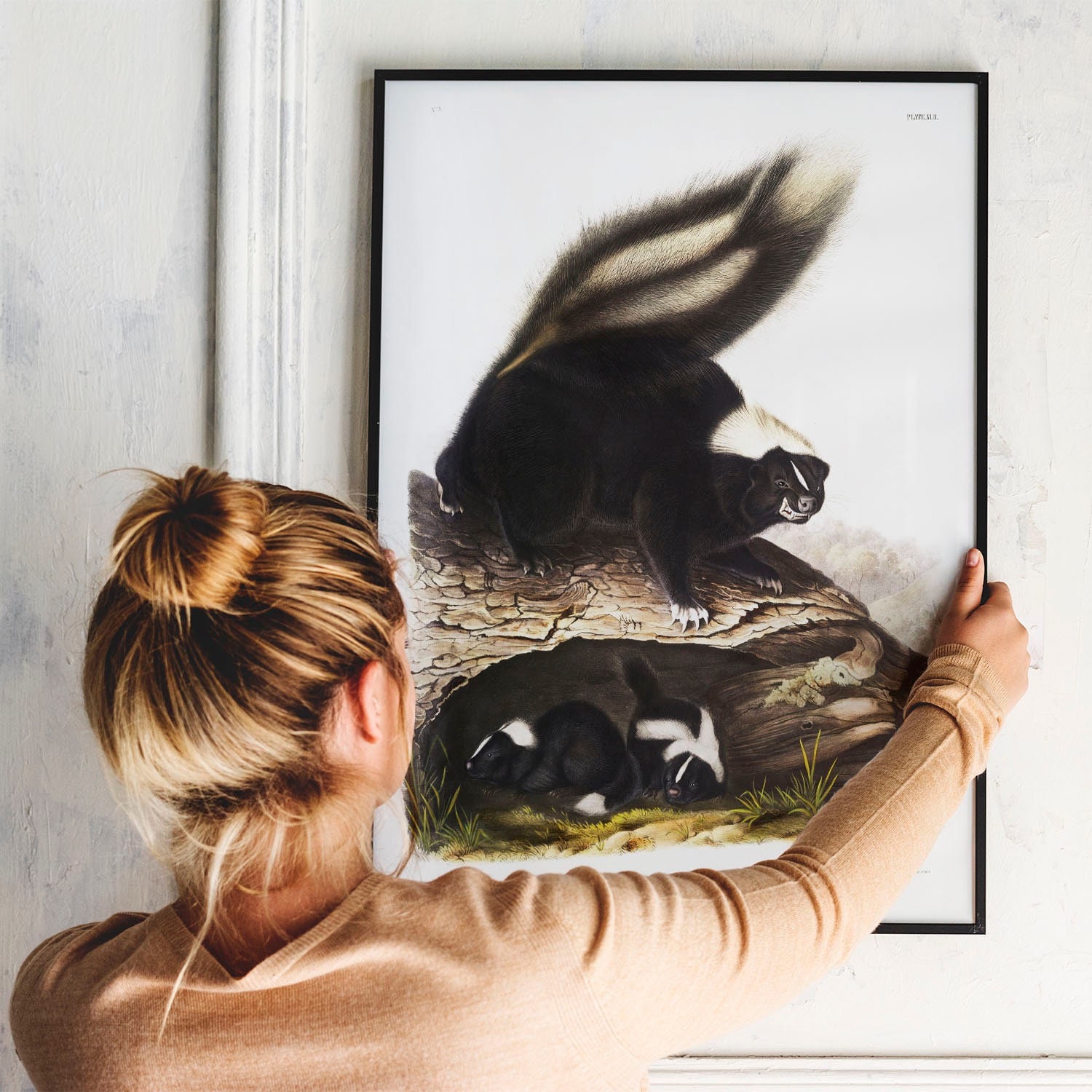 Skunk Print Antique Animal Painting Vintage Drawing Poster - Etsy