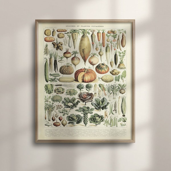 Vegetable Poster - Etsy