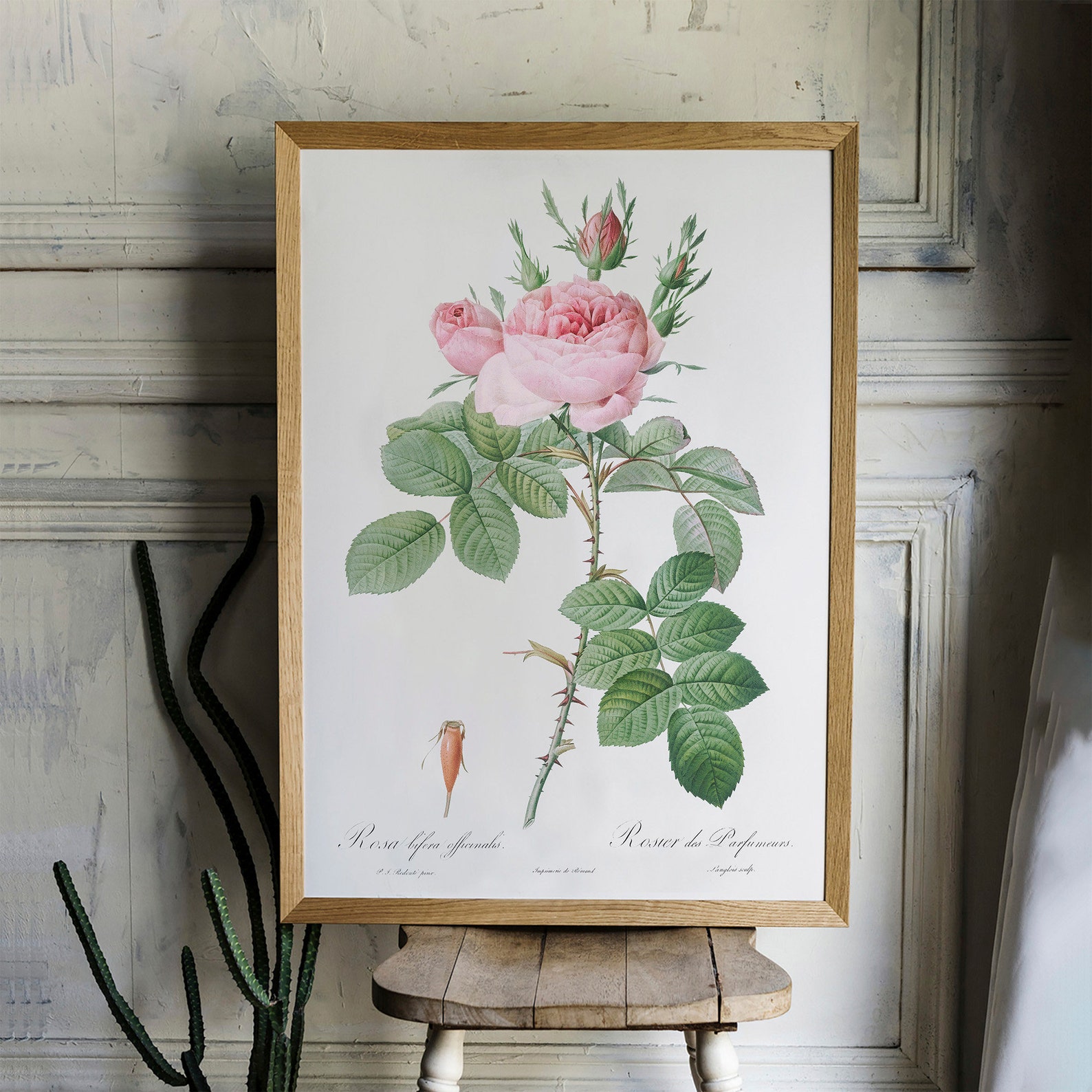 Antique Flower Print Pink Rose Print Antique Botanical | Etsy