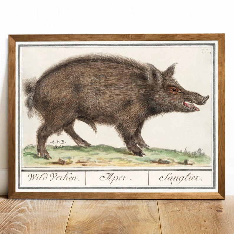 Wild Boar Print Antique Space Painting Vintage Drawing | Etsy