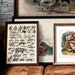 Mammal Collection Print, Antique Animal Painting, Vintage Drawing ...