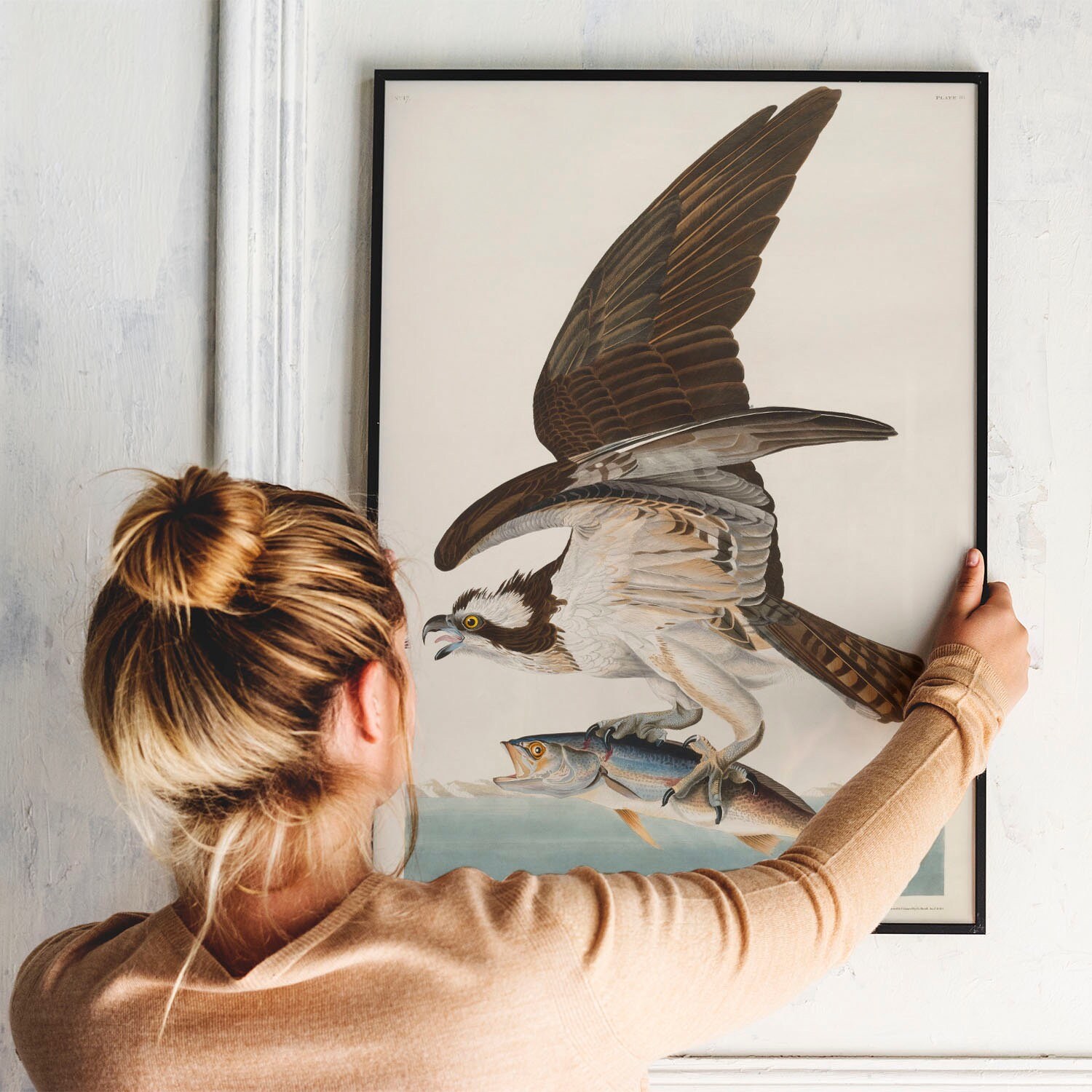 Fish Hawk Print Antique Bird Painting Vintage Drawing Poster | Etsy