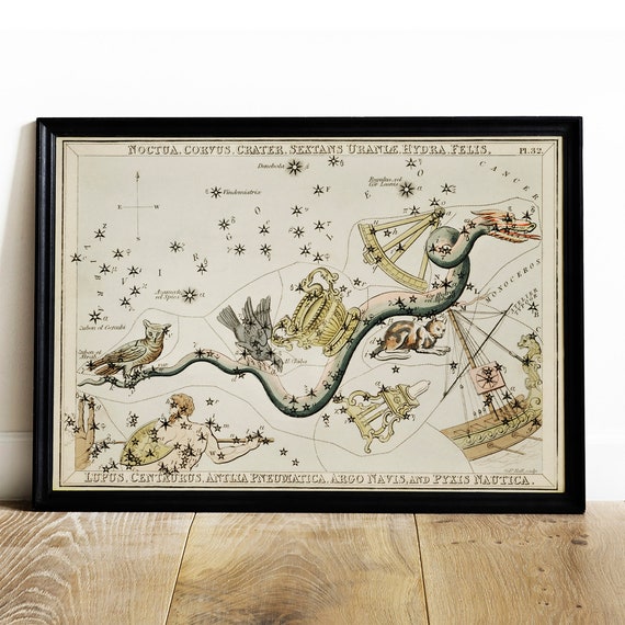 Hydra zodiac - Horoscopeaz.com
