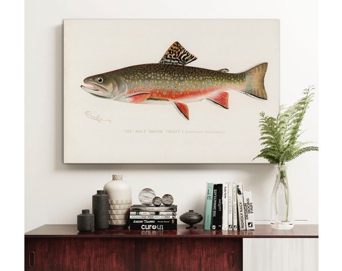 Rock Bass Fish Print Vintage Fishing Poster Wall Art Decor - Etsy