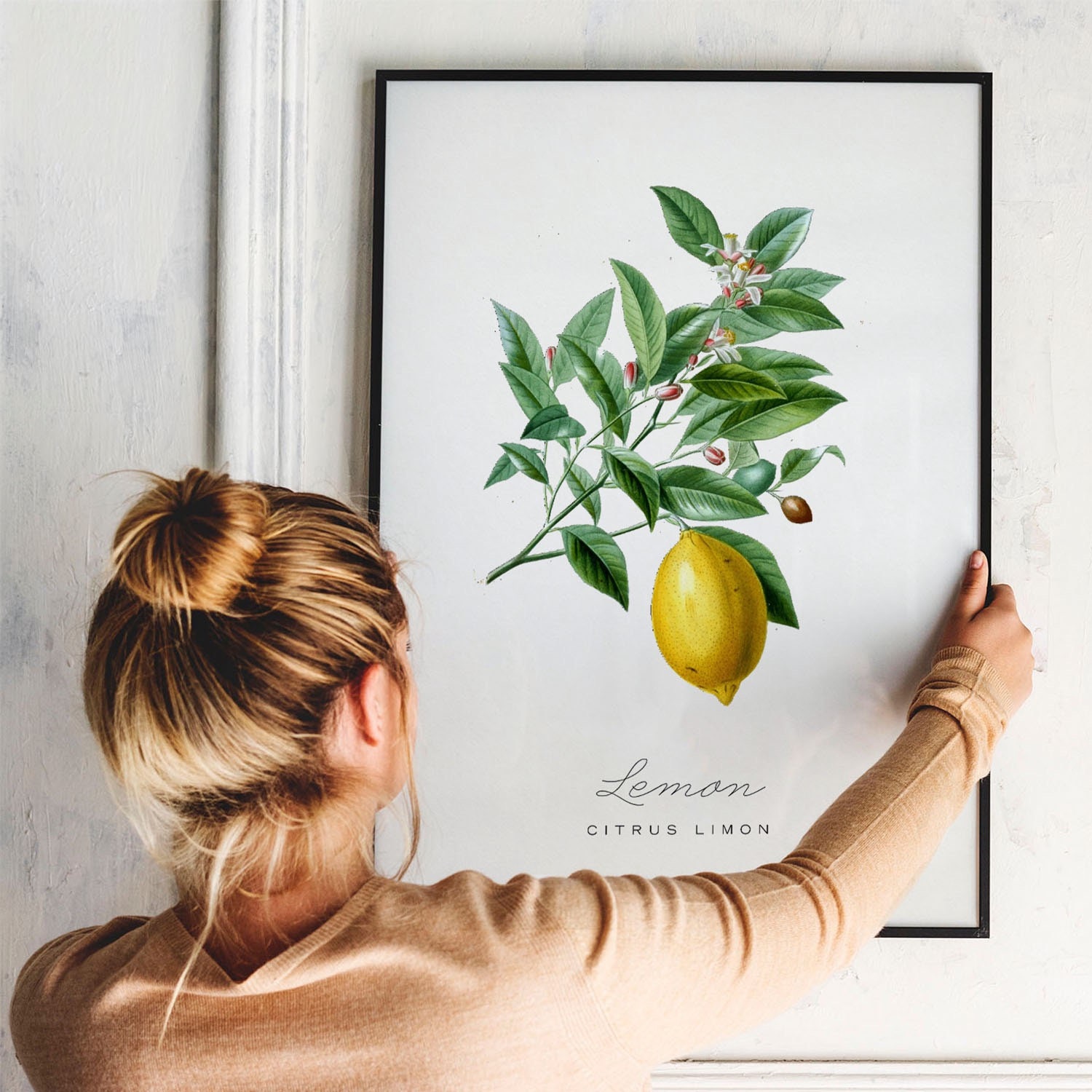 Lemon Print Vintage Kitchen Poster Wall Art Decor Lemons | Etsy