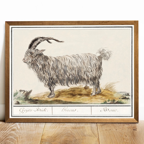 Goat Poster - Etsy