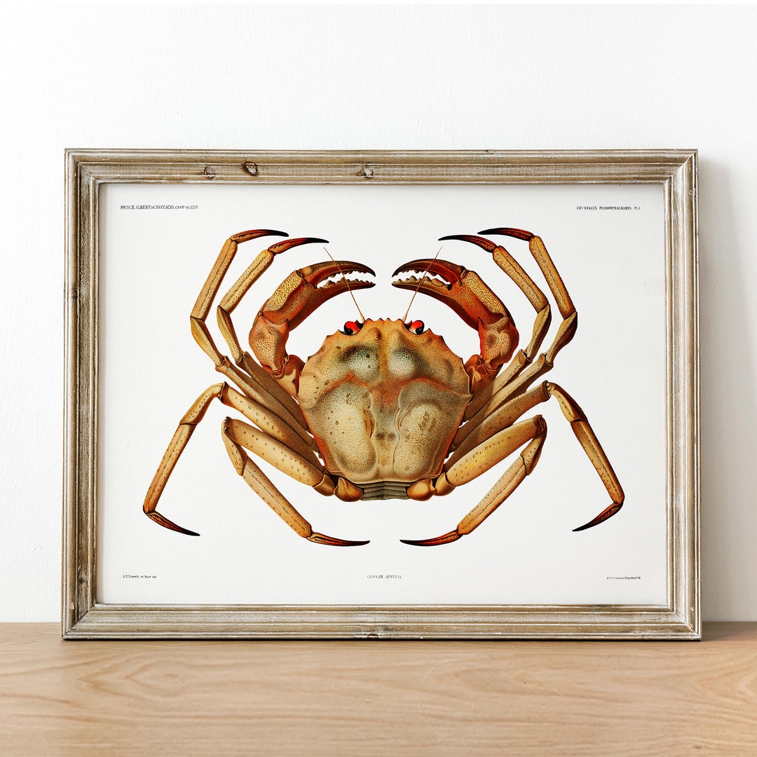 Fish Poster Crab Fish Print, Vintage Fishing Poster Wall Art Decor ...