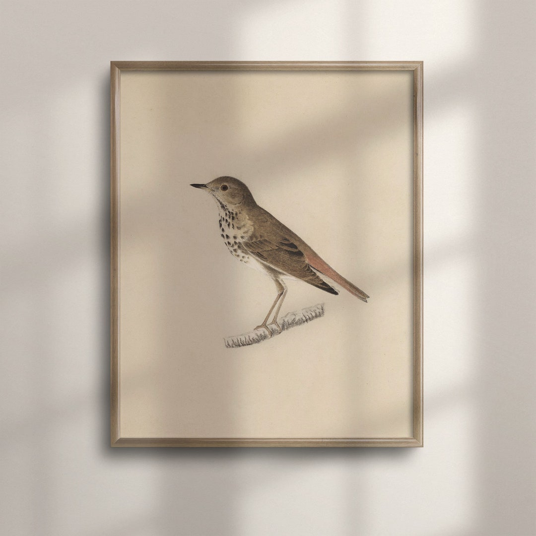 Vintage Bird Art, Farmhouse Decor, Neutral Tones Painting, Fine Art ...