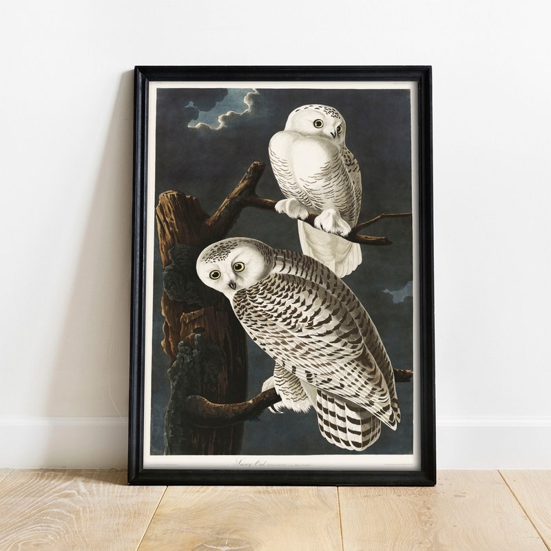 Owl Print - Etsy