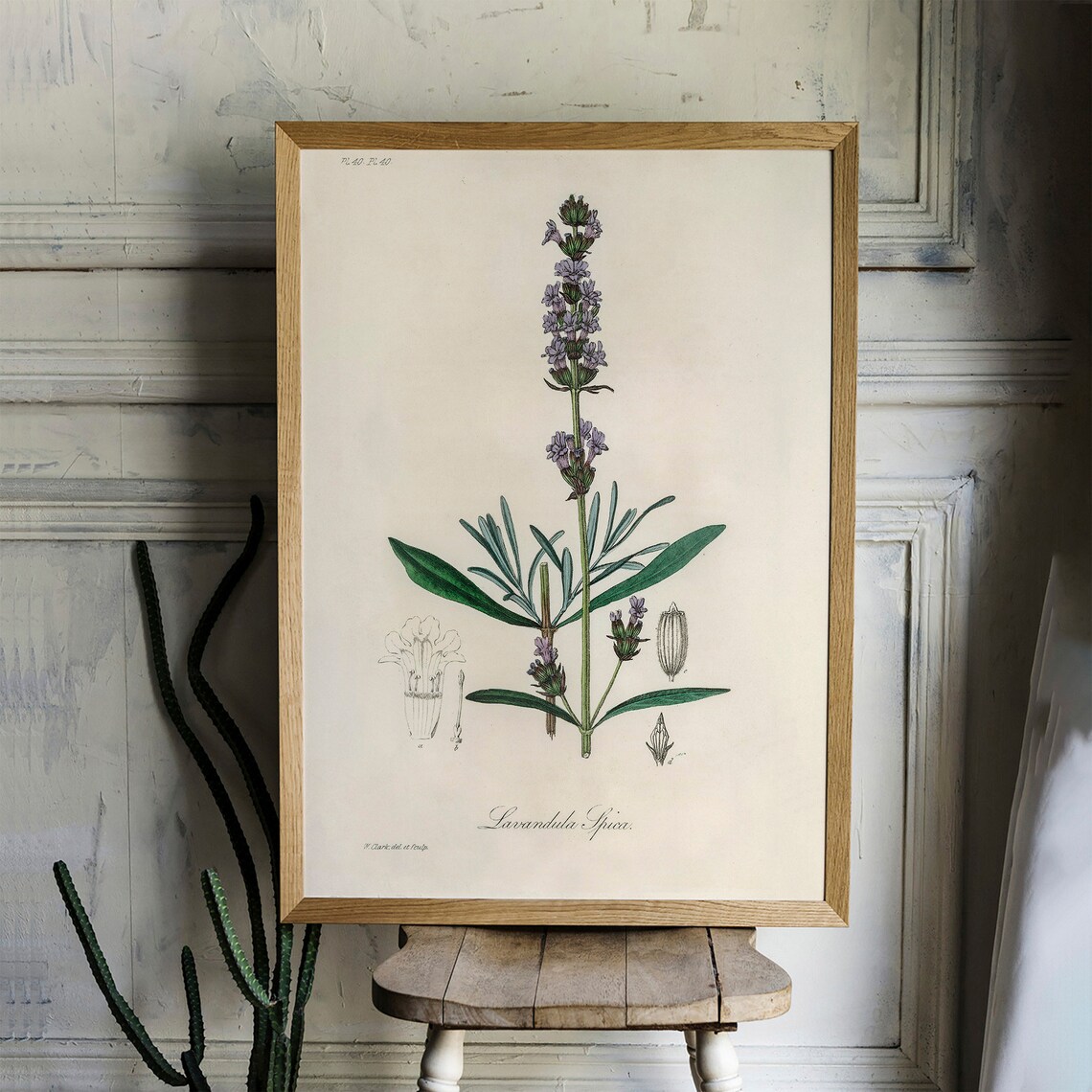 Vintage Lavender Botanical Print: Kitchen Wall Art Decor - Etsy