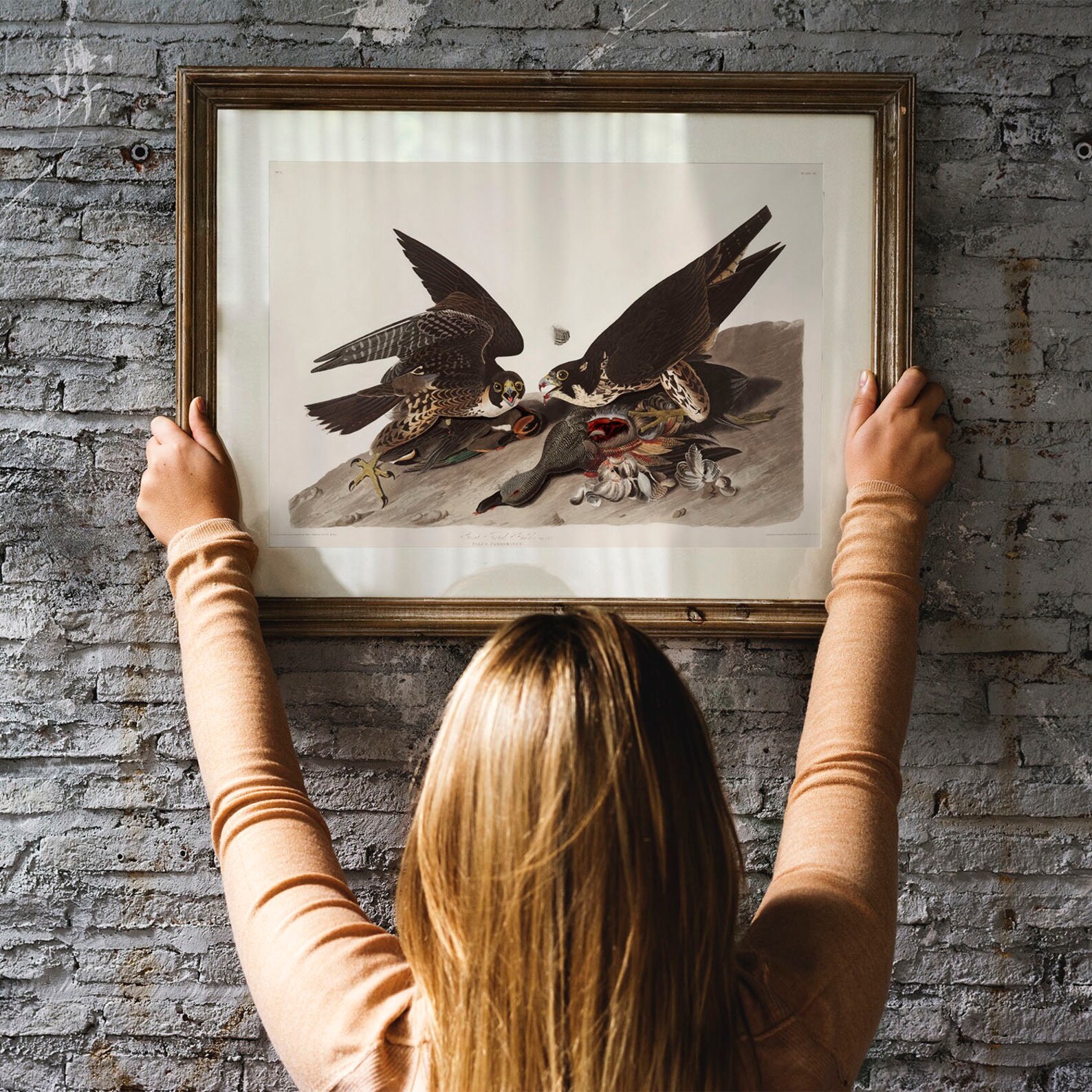 Great Hawk Print Antique Bird Painting Vintage Drawing - Etsy