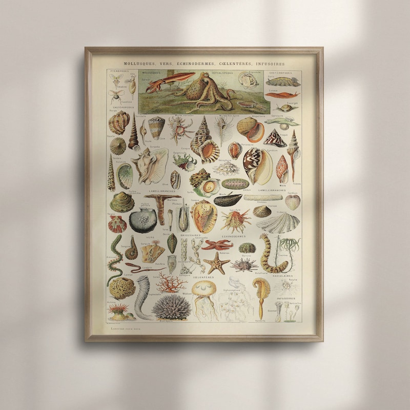 Adolphe Millot - Etsy