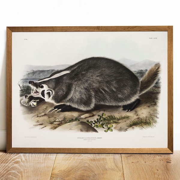 Badger Art - Etsy