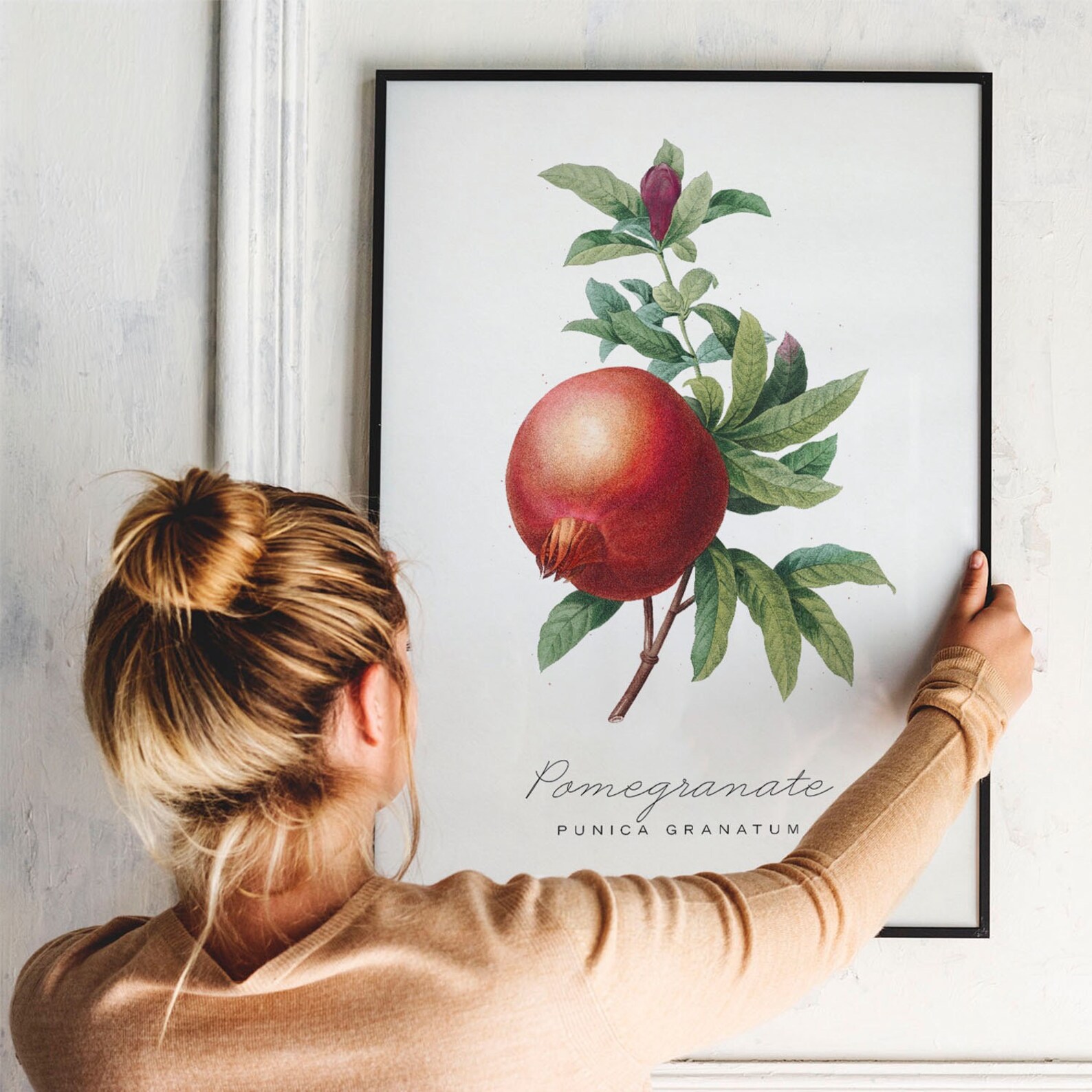 Pomegranate Print Vintage Kitchen Poster Wall Art Decor - Etsy