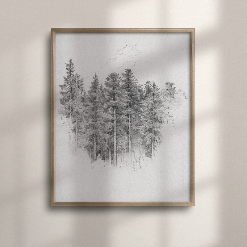 Pine Tree Poster - Etsy