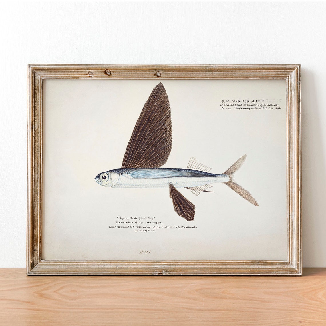 Flyfish Fish Print Vintage Fishing Poster Wall Art Decor - Etsy