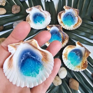 Set of Five Small Ocean Resin Calico Shells Ring Dish Beach Epoxy ...