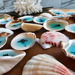 Pocket Hug Ocean Beachy Sea Creature Real Shell Friendship Gift Holiday ...