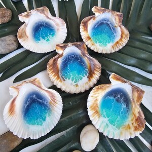 Set of Five Small Ocean Resin Calico Shells Ring Dish Beach Epoxy ...