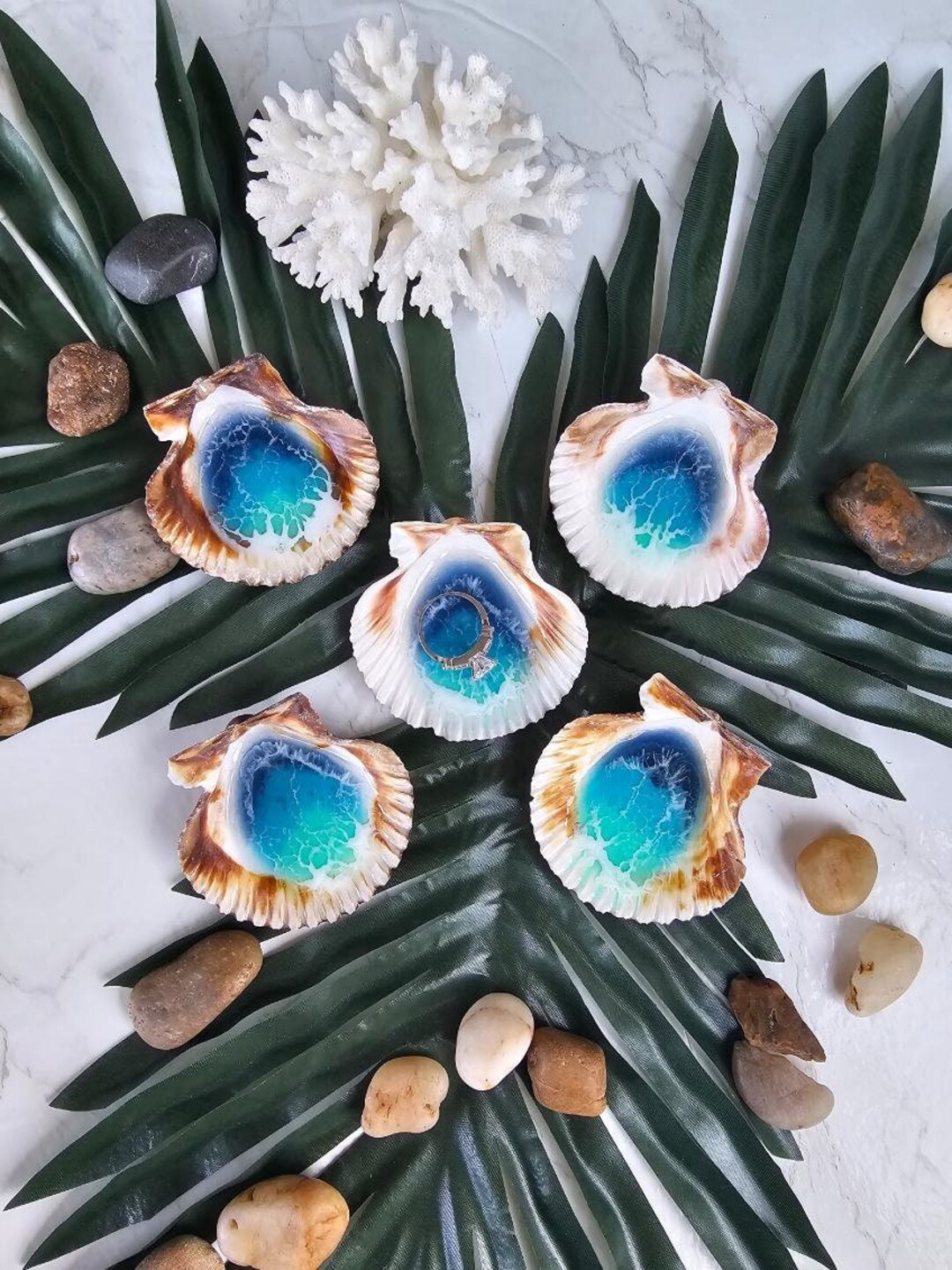 Set of Five Small Ocean Resin Calico Shells Ring Dish Beach Epoxy ...
