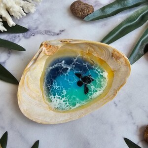 Ocean Resin Clam Perfectly Imperfect (SEE DESCRIPTION) Turtle Shell ...